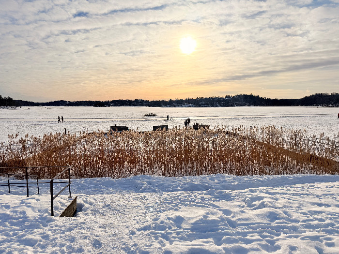 Drevviken